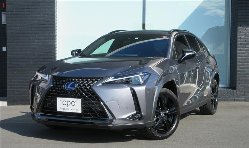 Genuine Lexus Japan 2019-2025 UX Factory Painted Fender Arch Molding S ...