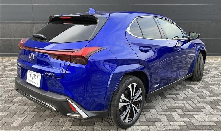Genuine Lexus Japan 2019-2025 UX Factory Painted Fender Arch Molding S ...