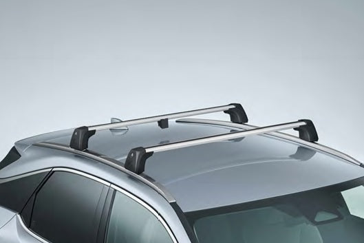 Genuine Lexus Japan 2023-2025 RX Roof Rack Cross Bars – LexusBoutique ...