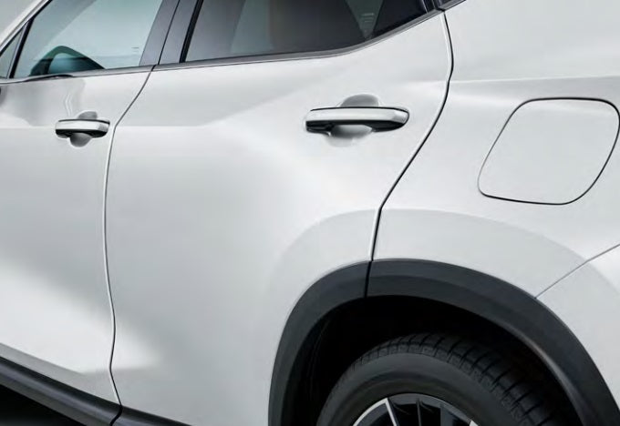 Genuine Lexus Japan 2022-2025 NX Factory Painted Door Edge Protector S ...