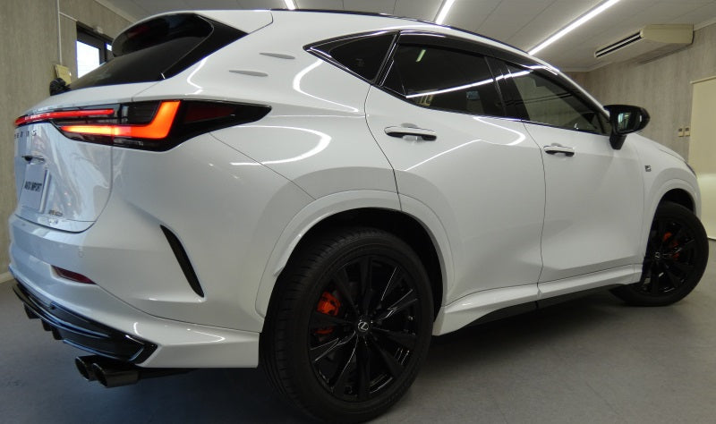 Genuine Lexus Japan 2022-2024 NX Factory Painted Rear Aero-Stabilizing ...