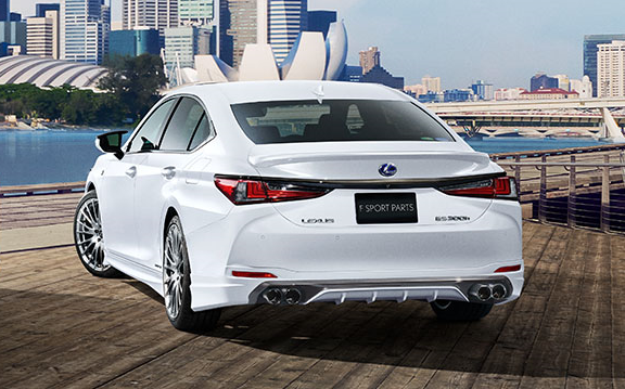 TRD JAPAN 2019-2021 Lexus ES Factory Painted Rear Diffuser Kit and Dua ...